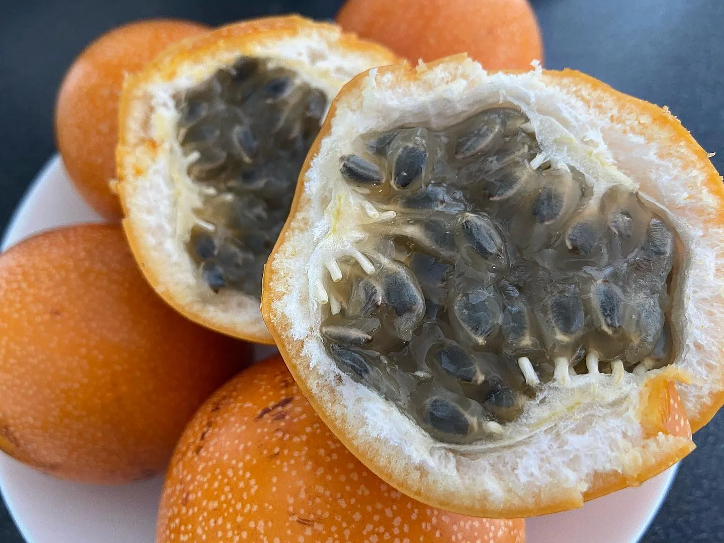 Plant FAQs: Passiflora Ligularis