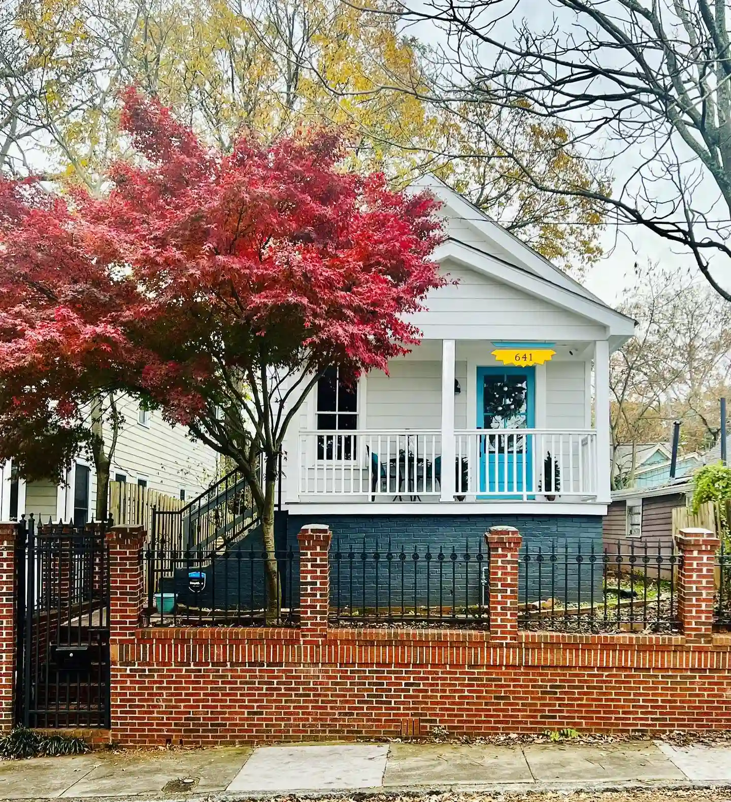 Plant FAQs: Red Maple